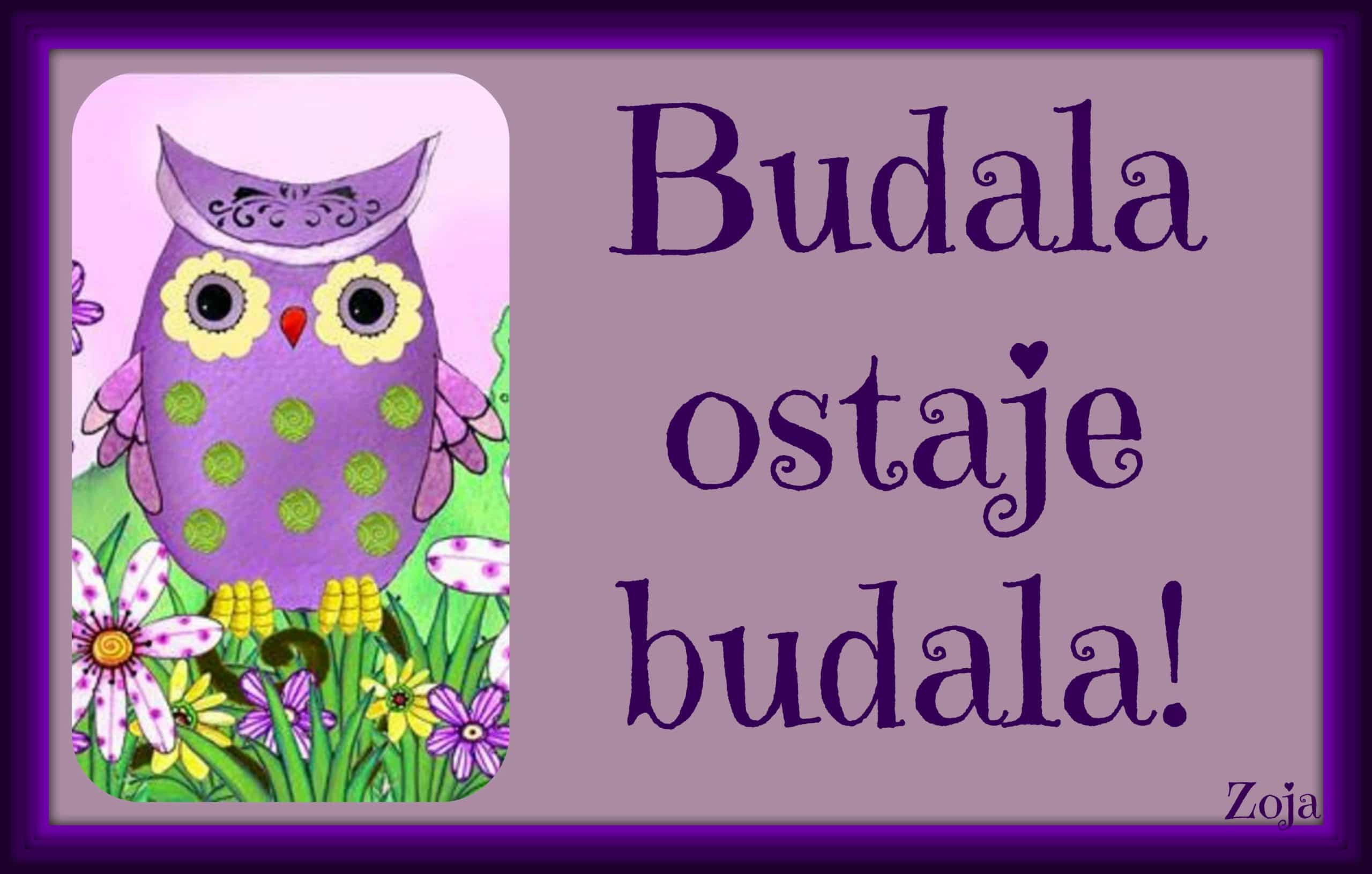 Budala ostaje budala