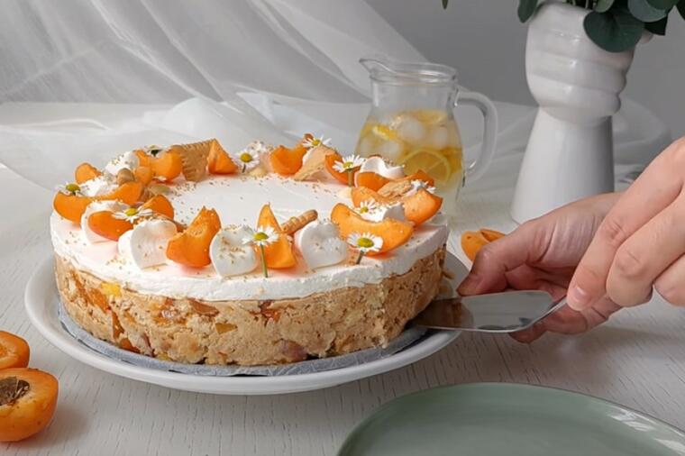 NAJBRŽA LETNJA VOĆNA TORTA SA KAJSIJAMA I JOGURTOM: Lagana i ...